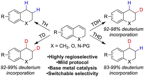 Clark Lab Publications - The Clark Lab